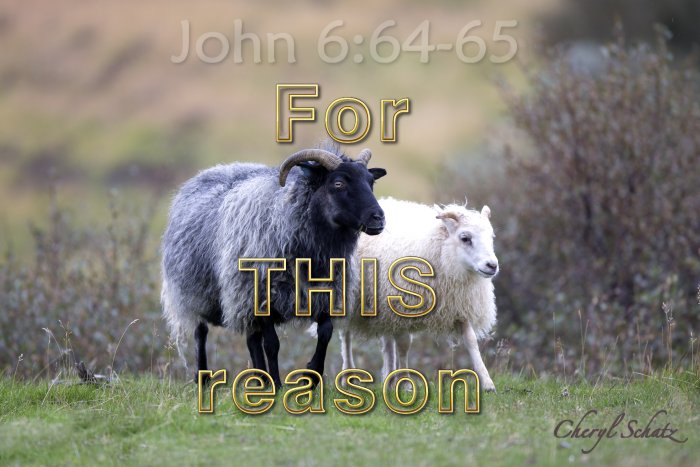 For this reason - John 6:64-65 - The Giving